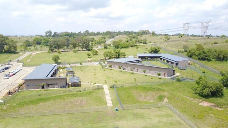 On Auction: Curro Monaghan, City Of Tshwane – Galetti